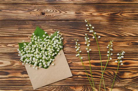 복사 공간이있는 공예 봉투에있는 계곡 꽃다발의 백합 꼭대기 전망 0명에 대한 스톡 사진 및 기타 이미지 0명 5월 갈색 Istock