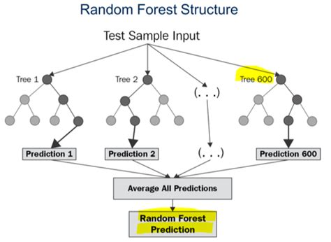 Classification K Nn And Decision Trees Flashcards Quizlet