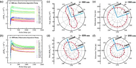 Polarization Dependent Transient Absorption Results Ab Differential