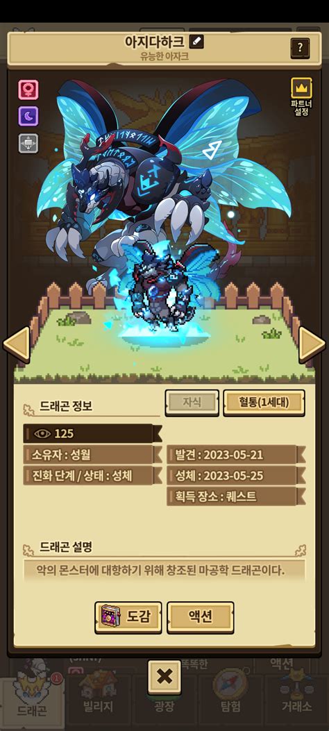 드래곤빌리지 컬렉션