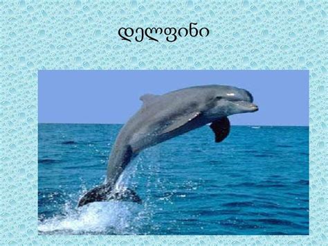 ზღვის პეიზაჟი