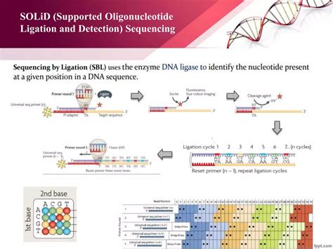 Next Generation Sequencing Technologies For Crop Improvement Pptx