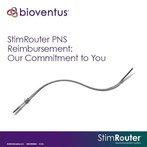 Stimrouter Neuromodulation Chronicpain Stimrouter Pns System