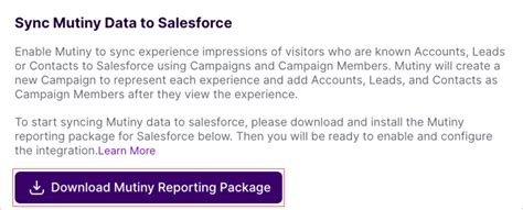 Setting Up Your Salesforce Integration Mutiny