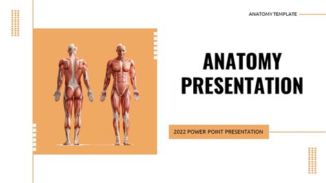 Anatomy Power Point Presentation Powerpoint And Google Slides Saveslides Templates