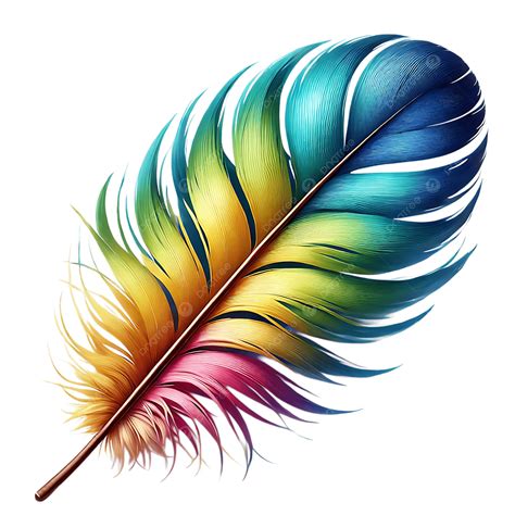 Rainbow Feather Drawing Wallpaper