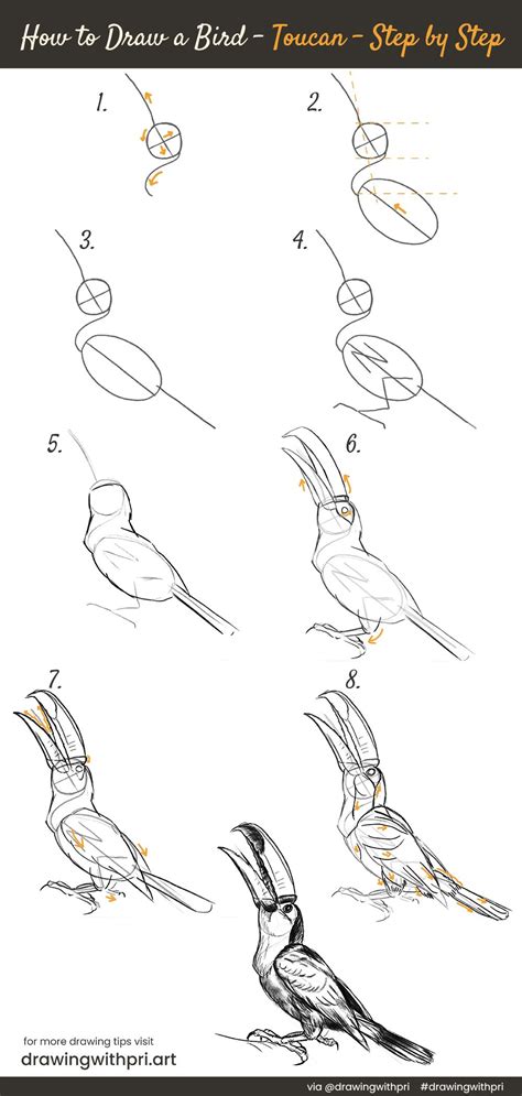 How To Draw A Bird Artofit