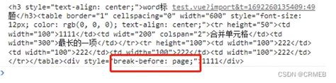 Vue中前端导出word文件 前端 云服务器