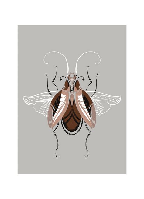 Image Of Beetle 6 Bug Art Art Insect Art