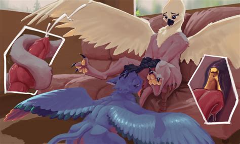 Rule 34 Absurd Res Avian Eqlipse Artist Female Genitals Gryphon Hi