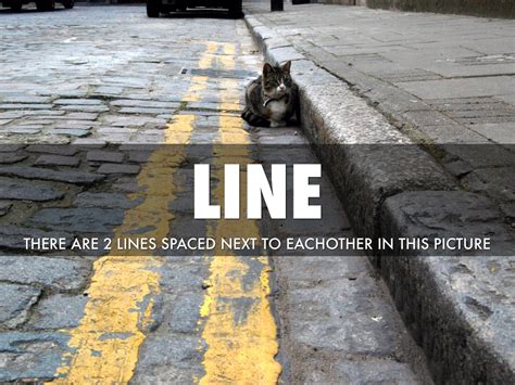 Copy Of Snapshot Assignment By Gabe Herman