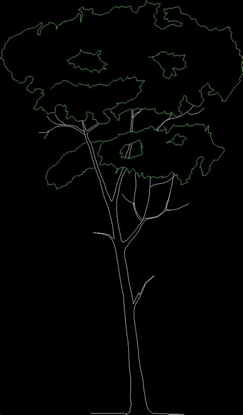 Trees DWG Block For AutoCAD Designs CAD Trees DWG Block For AutoCAD Designs CAD