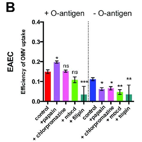 Lps Composition Determines Major Route And Kinetics Of Omv Entry Into