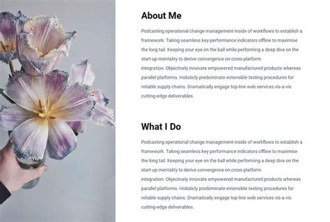 Information About Me CSS Template By Nicepage