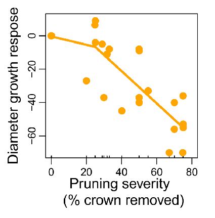 Segmented Regression Of Diameter Growth Response On Pruning Severity