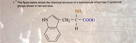 solved the figure below shows the chemical structure of a biomolecule