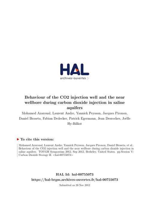 Pdf Behaviour Of The Co2 Injection Well And The Near Wellbore During Carbon Dioxide Injection