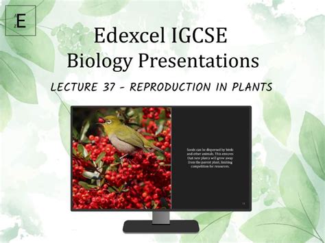 Edexcel IGCSE Biology Lecture Reproduction In Plants Teaching Resources