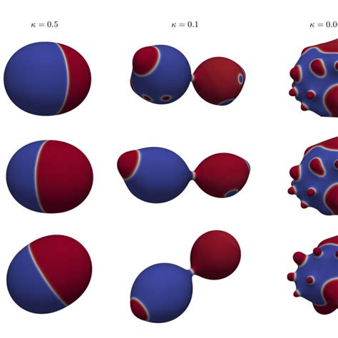 Ab Snapshots Of The Relaxation Of The Two Component Fluid Download Scientific Diagram