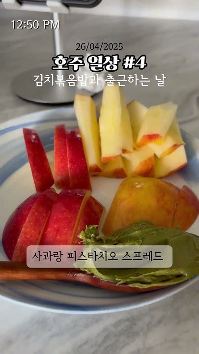 🇦🇺호주 직장인 출근길 브이로그 호주일상 출근길 자취요리 브이로그 자취요리 집밥 Youtube