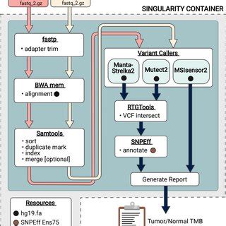 Schematic Diagram Of The Nextflow Workflow For The Singularity Download Scientific Diagram