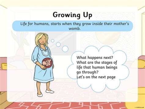 Human Life Cycle Powerpoint Ppt Free Download PPT