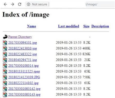 directory check file fig 6 is a test in web browser based testing on