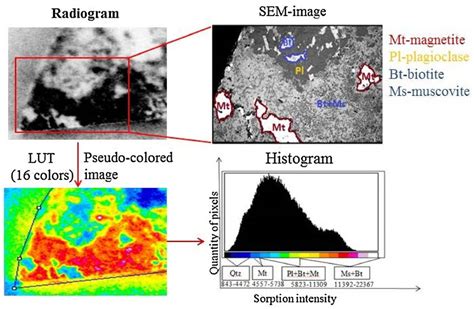 Steps Of The Technique Of Relative Sorption Efficiency Definition Download Scientific Diagram