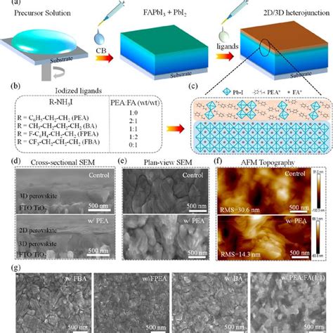 Engineering Of The 2d 3d Hierarchical Structure A Fabrication Of Download Scientific Diagram