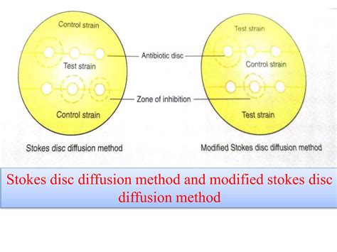 Antimicrobial Sensitivity Test Pptx