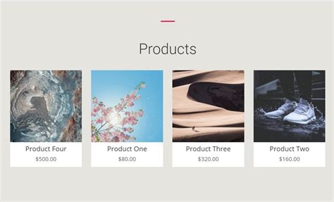 The Divi Shop Module Elegant Themes Documentation
