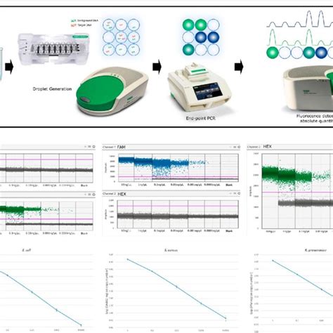 Dpcr Detection Assay For E Coli K Pneumoniae And S Aureus A Ddpcr Download Scientific