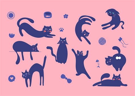 Flat Cat Vector Illustration Collection By Thư Thiên On Muzli