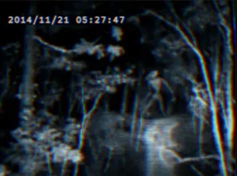 The Elements Of Analog Horror The Vault Publication