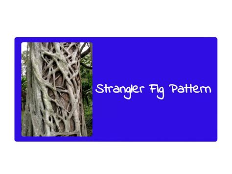 strangler fig design pattern pptx