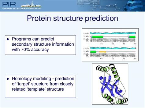 Ppt Protein Sequence Analysis Overview Powerpoint Presentation Free Download Id 3089337
