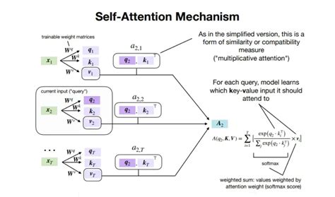 How Transformer Models Work