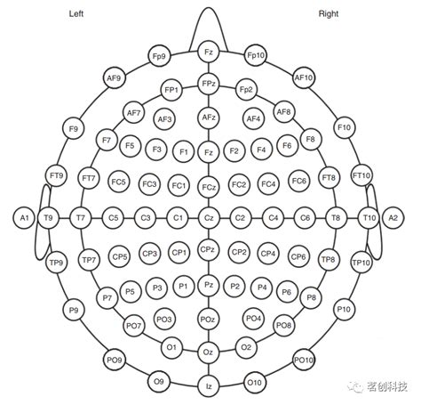 脑电信号分析 知乎 脑电信号分析 知乎