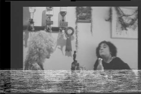 Visual Video Signal Errors · Oyvindlnvhs Decode Wiki · Github