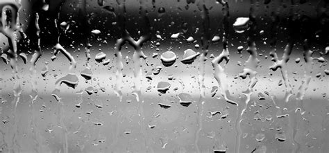 밀집 비 물방울 장마 날씨 투명 Png 이미지 및 클립 아트 에 대한 무료 다운로드