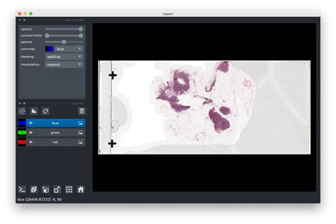 Napari Octree Doesn T Work For Multiple Layers Blended Issue Napari Napari GitHub