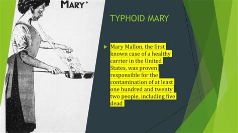Pathophysiology Of Typhoid Fever And The Works Pptx