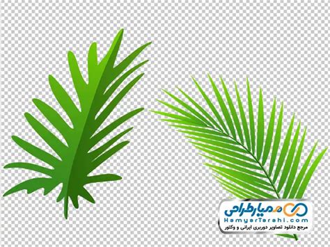 دانلود عکس Png برگ درخت 02291988