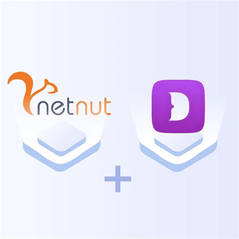 How To Set Up Netnut Proxies On Dolphin Antidetect Browser Netnut