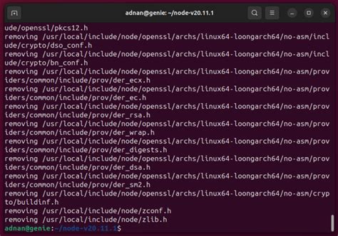 How To Install Node Js On Ubuntu Linux Genie