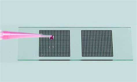 Microscope Slide Grids