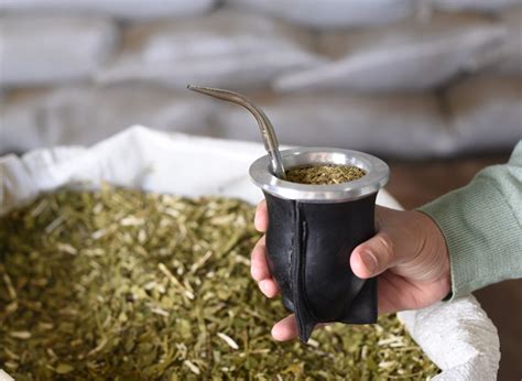 Yerba Mate Ma Najmocniejszą Pozycję Na świecie