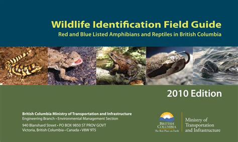Pdf Wildlife Identification Field Guide Bcca · Wildlife