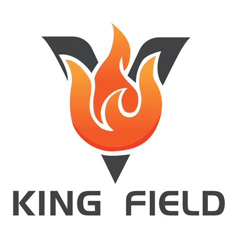 Beauty Instrument Circuit Board King Field