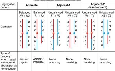 Bio 325 Final Exam Flashcards Quizlet